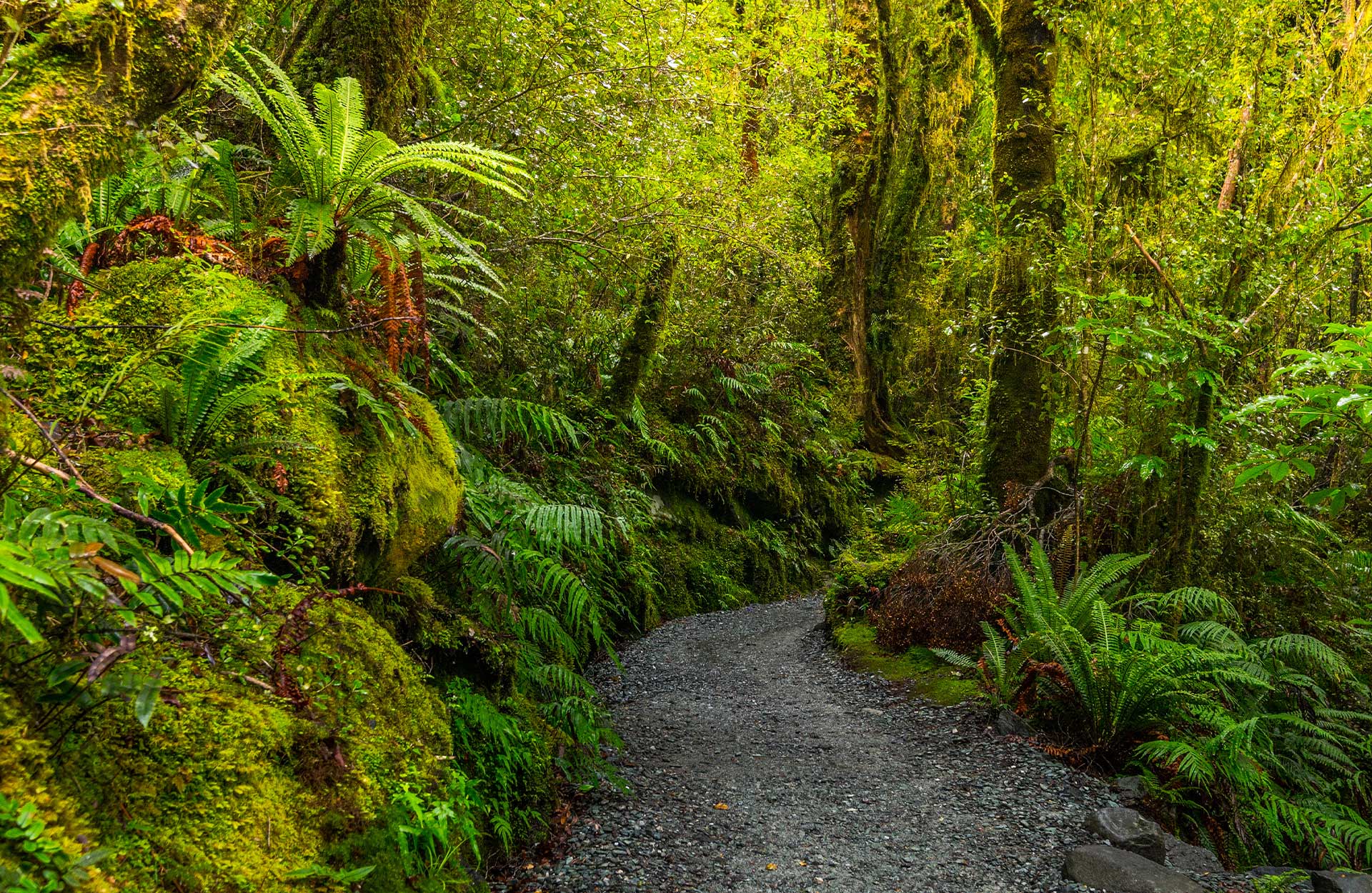 Milford Sound Walks & Hikes – Fiordland National Park